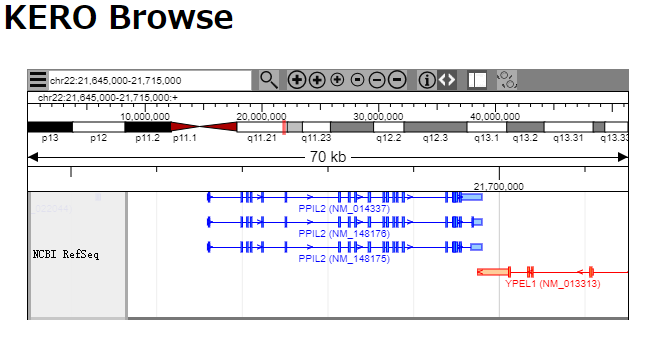 Github Dbkerogenomebrowser Simple And Fast Html5 Canvas Based Genome Browser